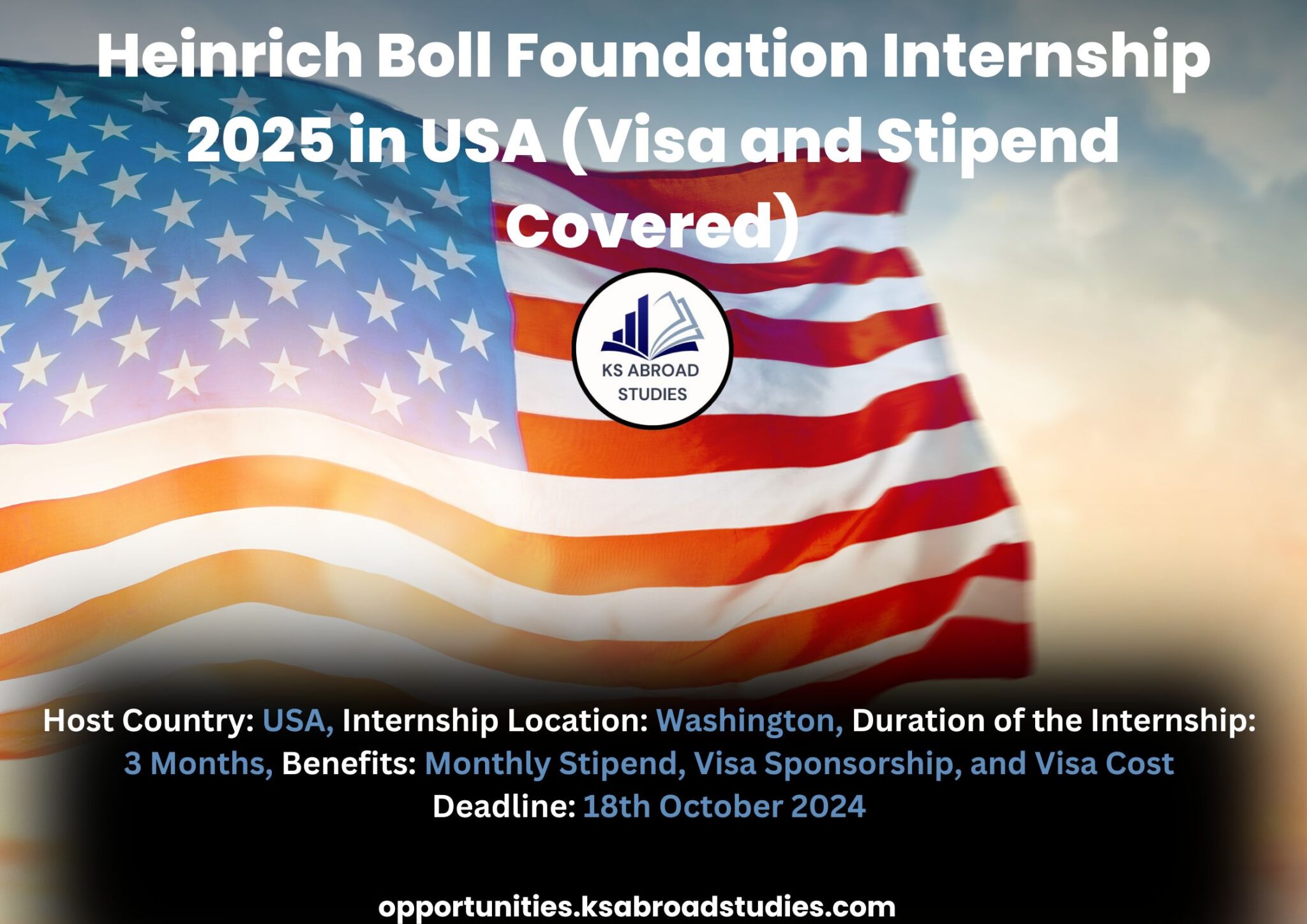 Heinrich Boll Foundation Internship 2025 In Usa Visa And Stipend